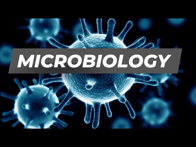 Microbiology class | Advanced Level A/L Biology with Dhanushka Dharmasri